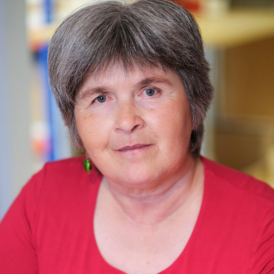 Unser Team – cobicos